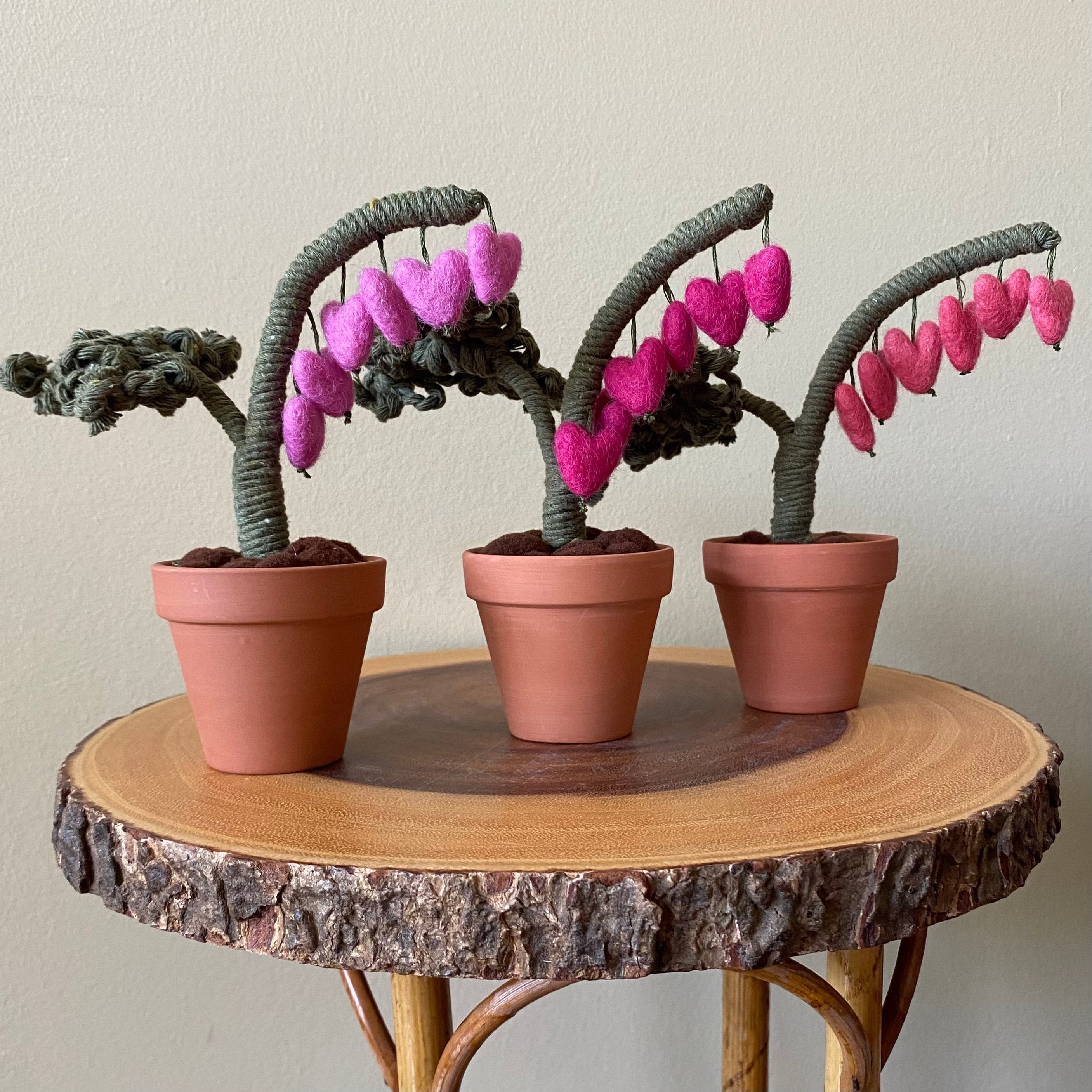Bleeding Heart Macrame & Felt Plant – ForgetBKnot
